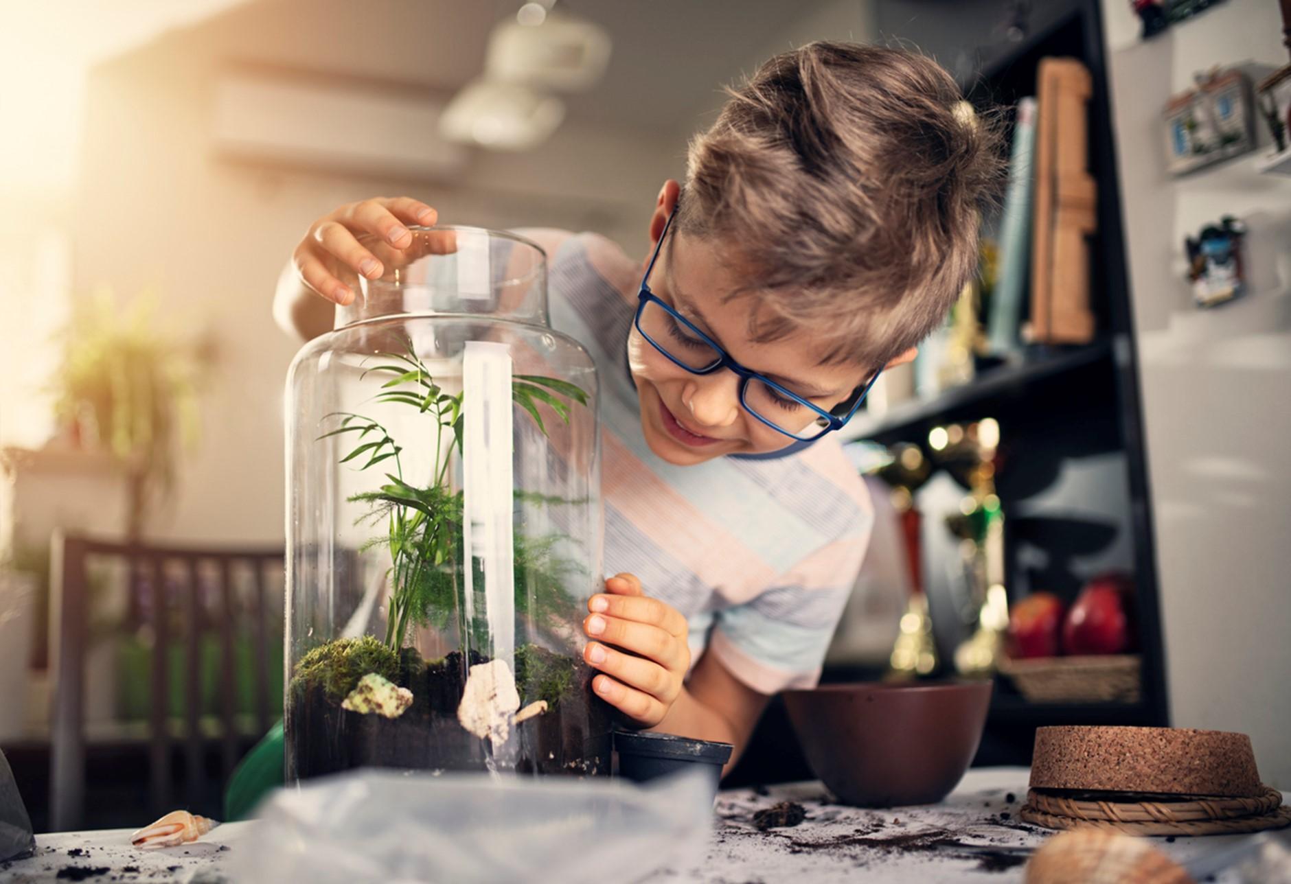 Hands-on STEM Activities for Primary Students - Tutor Doctor Australia